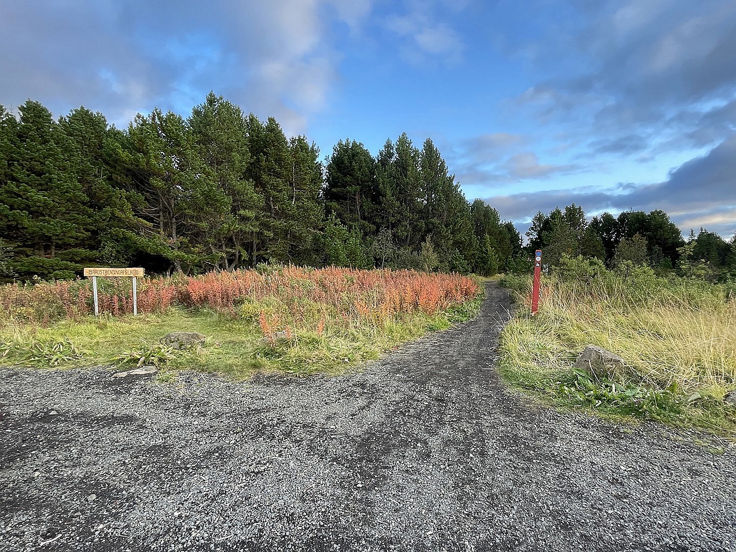 Skráning á fjölskyldudag í Heiðmörk